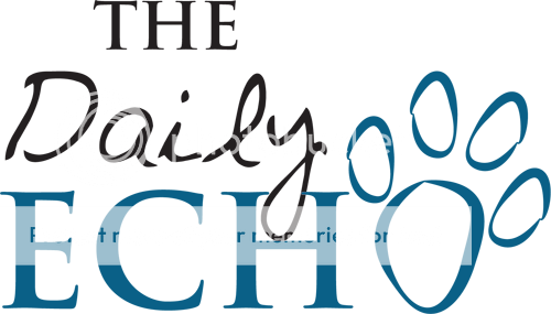 The Daily Echo | Creation in Between