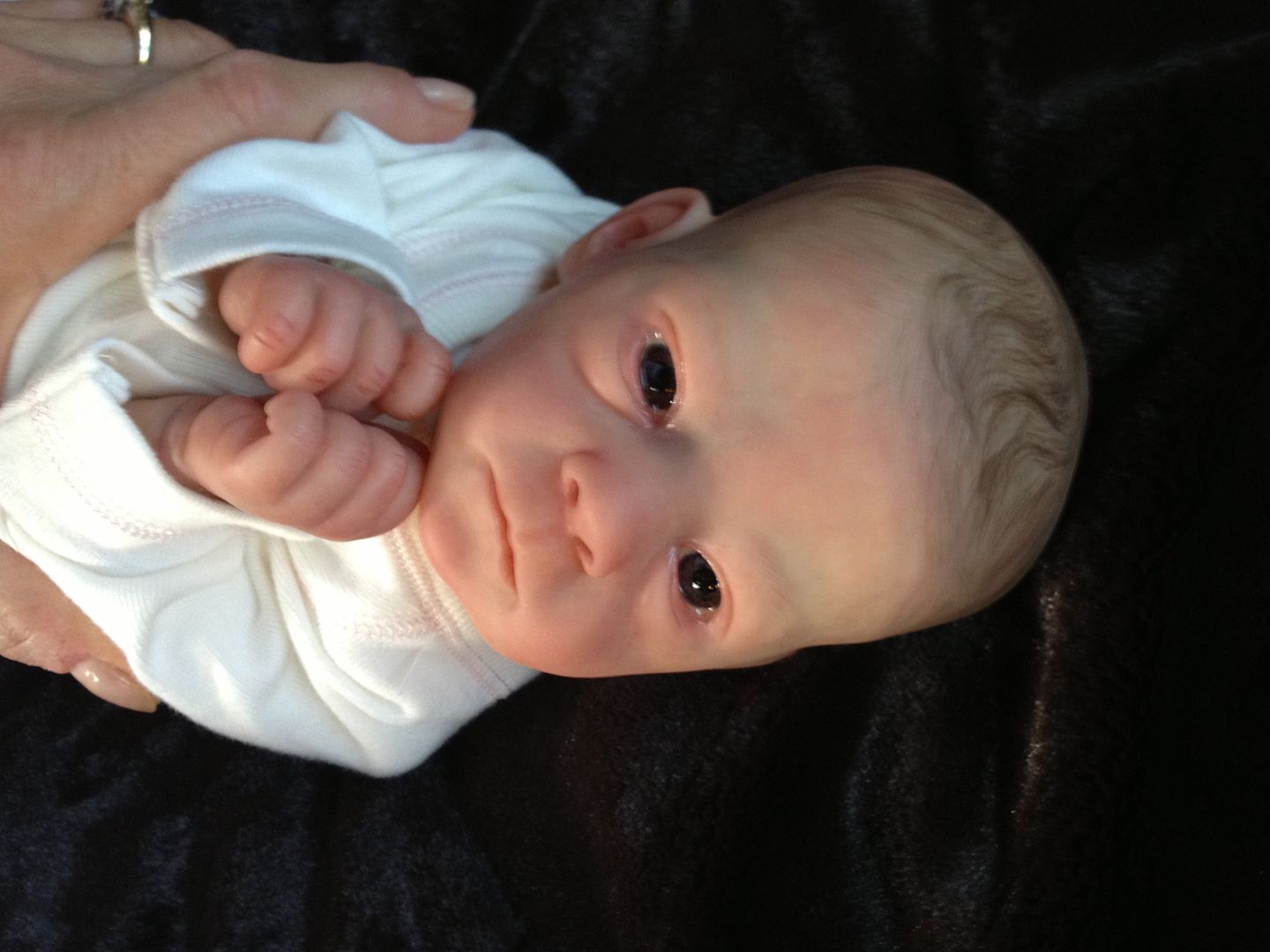 Meredith Bonnie Brown. LOVE HER! Lot o pics.. - DollFan