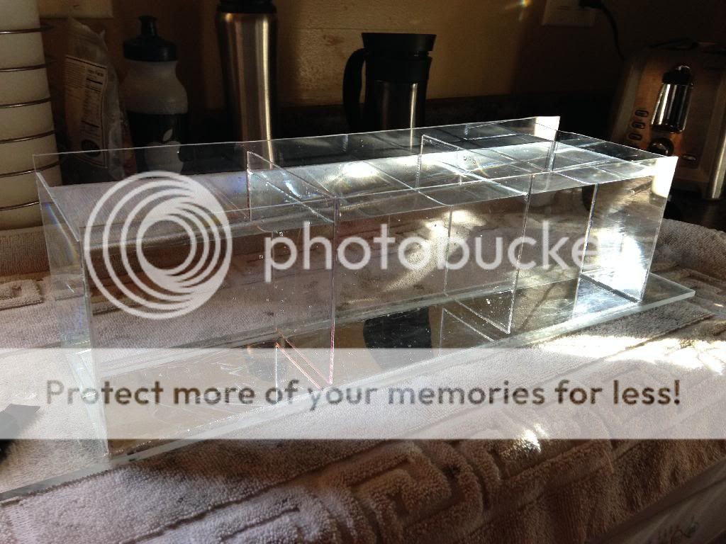 Betta barracks? Should I? | Betta Fish Forum