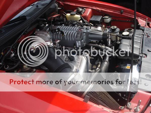 4 valve terminator swap | Ford Mustang Forum