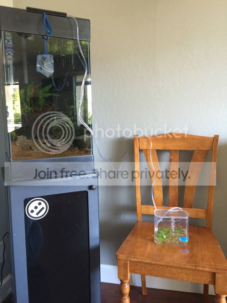 Aqueon 15g Column Planted Build | The Planted Tank Forum