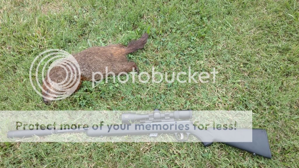 .22 Bolt Action Squirrel Rifle > General Discussion > AR15.COM